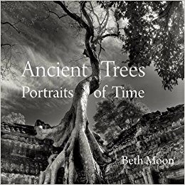 Best Tree Books – The Treeographer