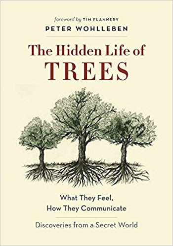 Best Tree Books – The Treeographer