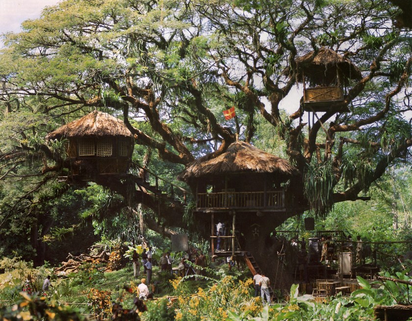 The Real Swiss Family Robinson Treehouse in Tobago – The Treeographer