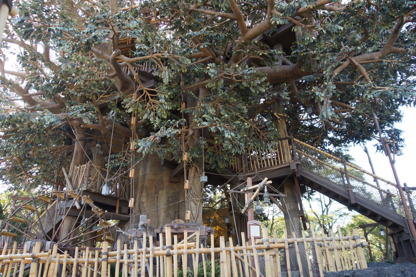 The Real Swiss Family Robinson Treehouse in Tobago – The Treeographer